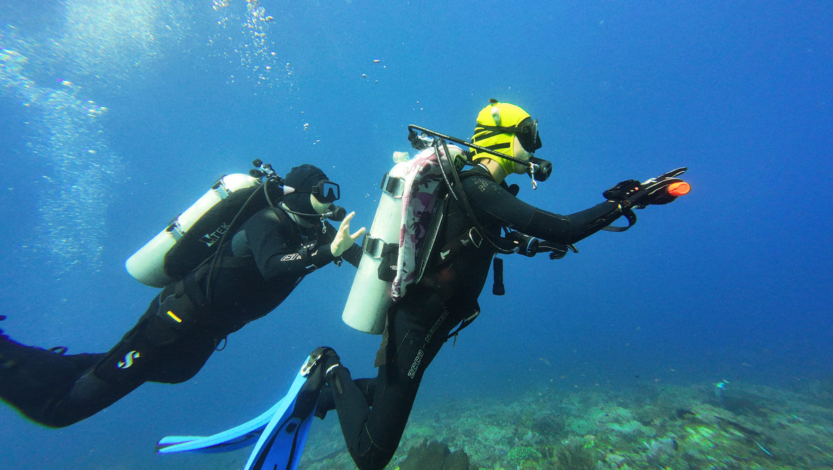 Bee Diving Hood – Kinno Scuba